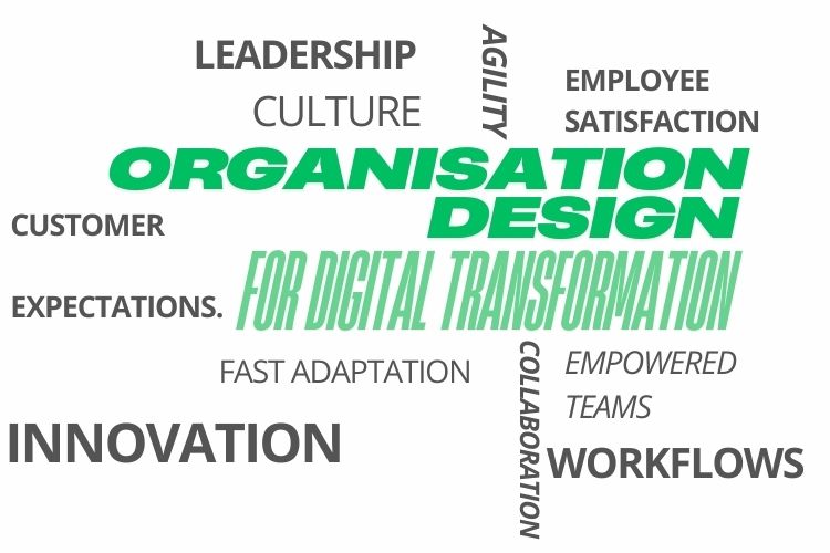 Organisation design for digital transformation – a guide to success ...